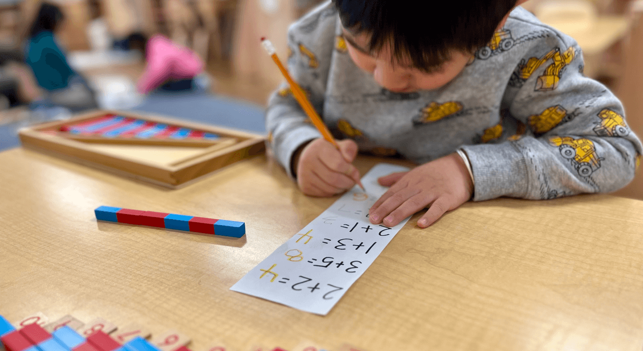 Material Spotlight: Exploring Montessori Number Rods Authentic ...